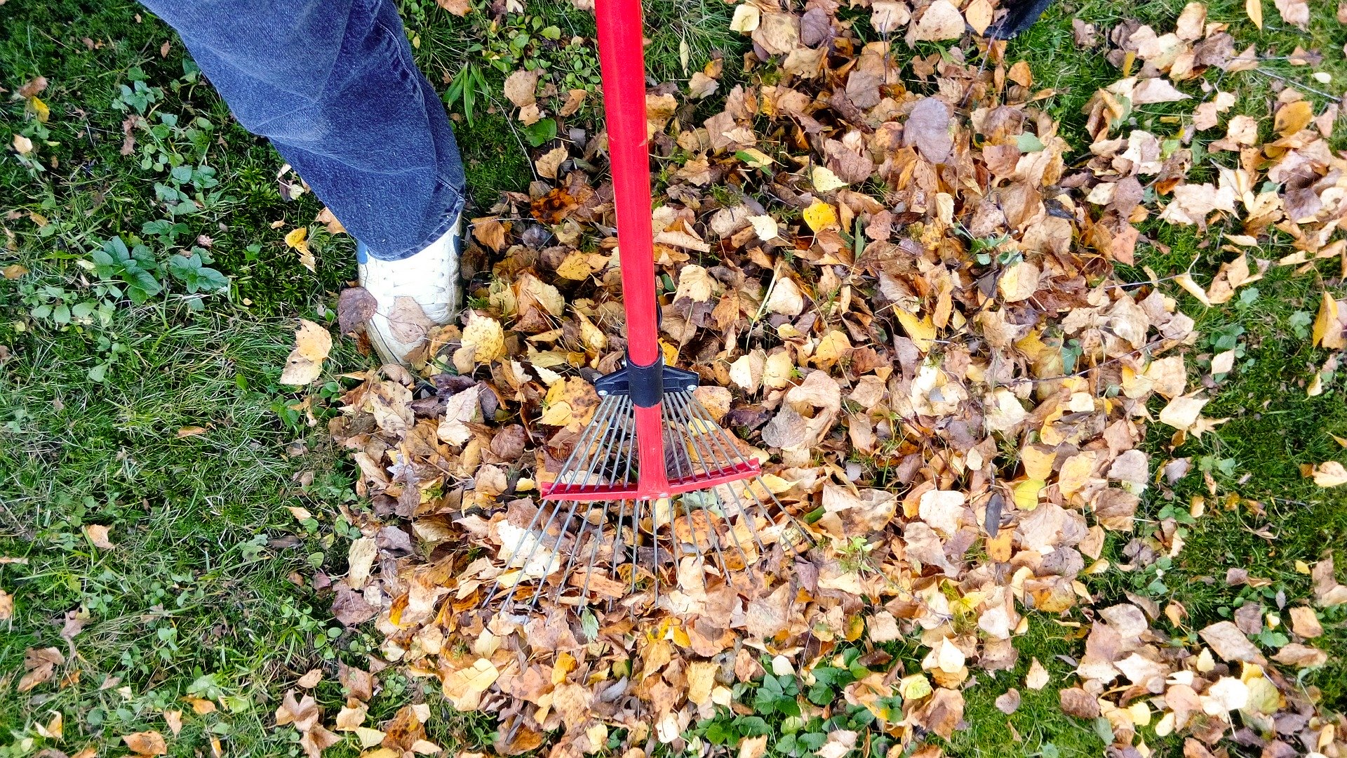 Curbside Leaf Collection Begins - Sycamore Township